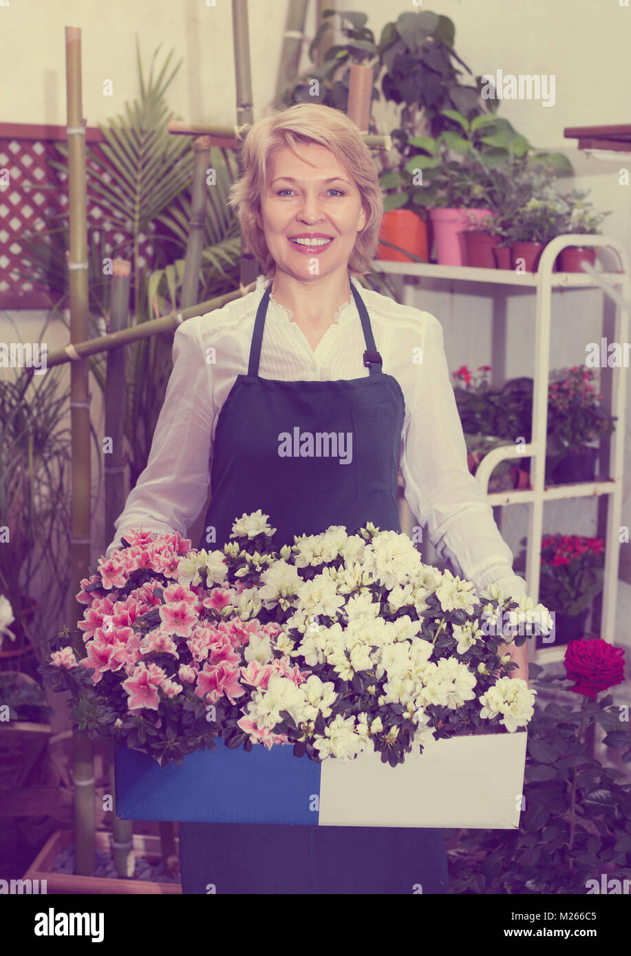 Glad mature woman florist with fresh flowers smiling in floral shop ...