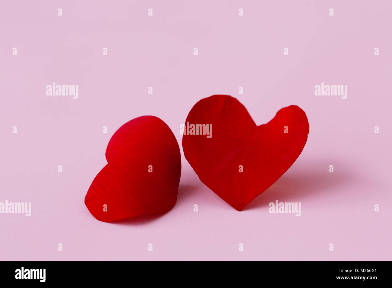Two heart shaped rose petals Stock Photo - Alamy