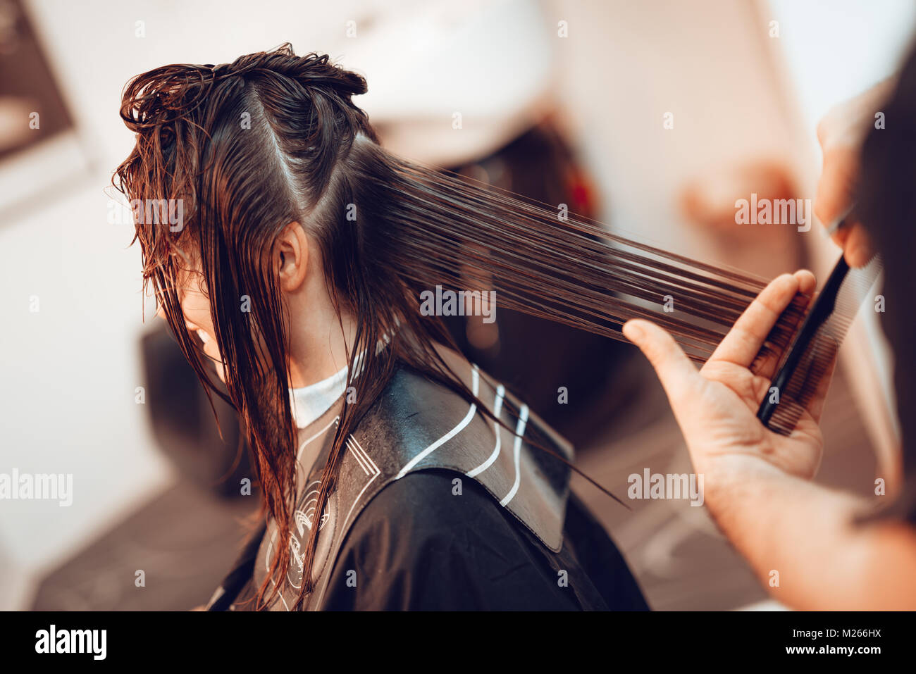 Young woman having cut her hair at the man hairdresser Stock Photo - Alamy