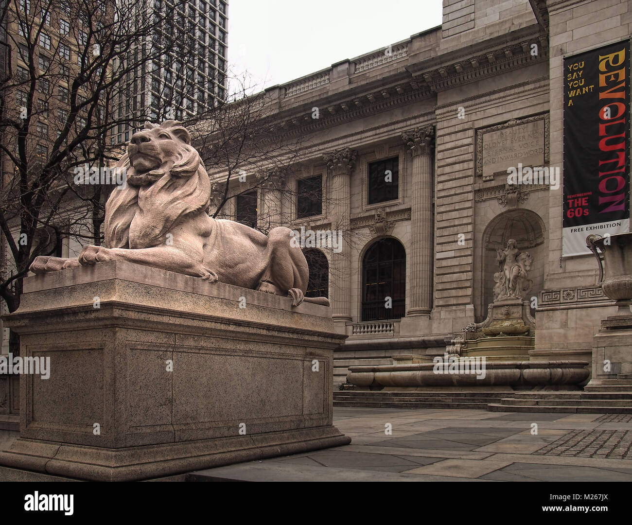 New York , New York, USA. Febuary 1, 2018. One of the lions, Patience ...