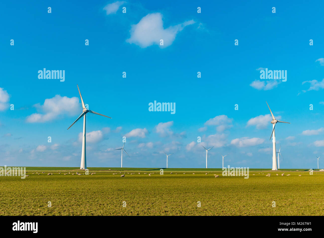 Offshore Windmill farm in the ocean Westermeerwind park , windmills ...