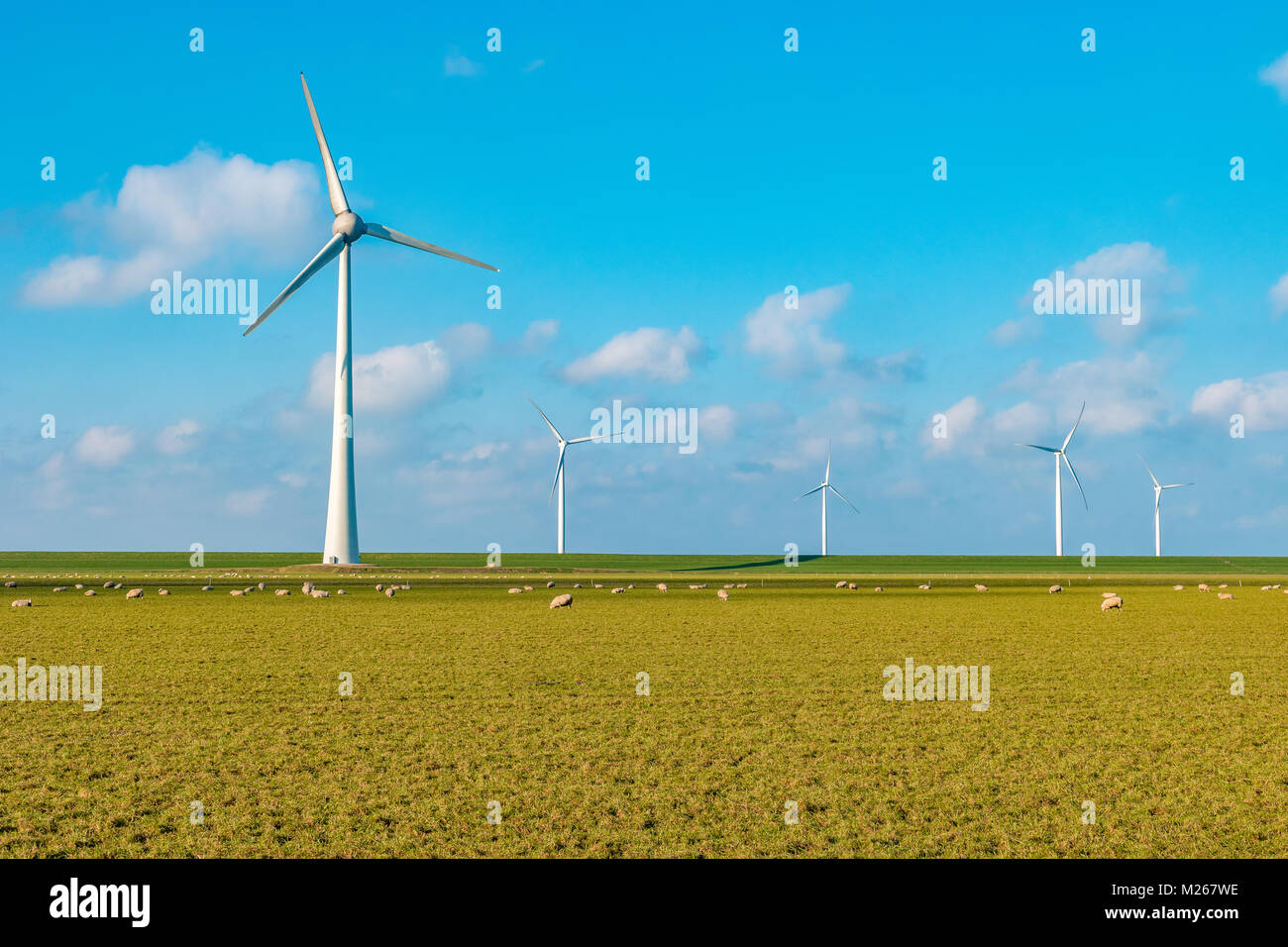 Offshore Windmill farm in the ocean Westermeerwind park , windmills ...