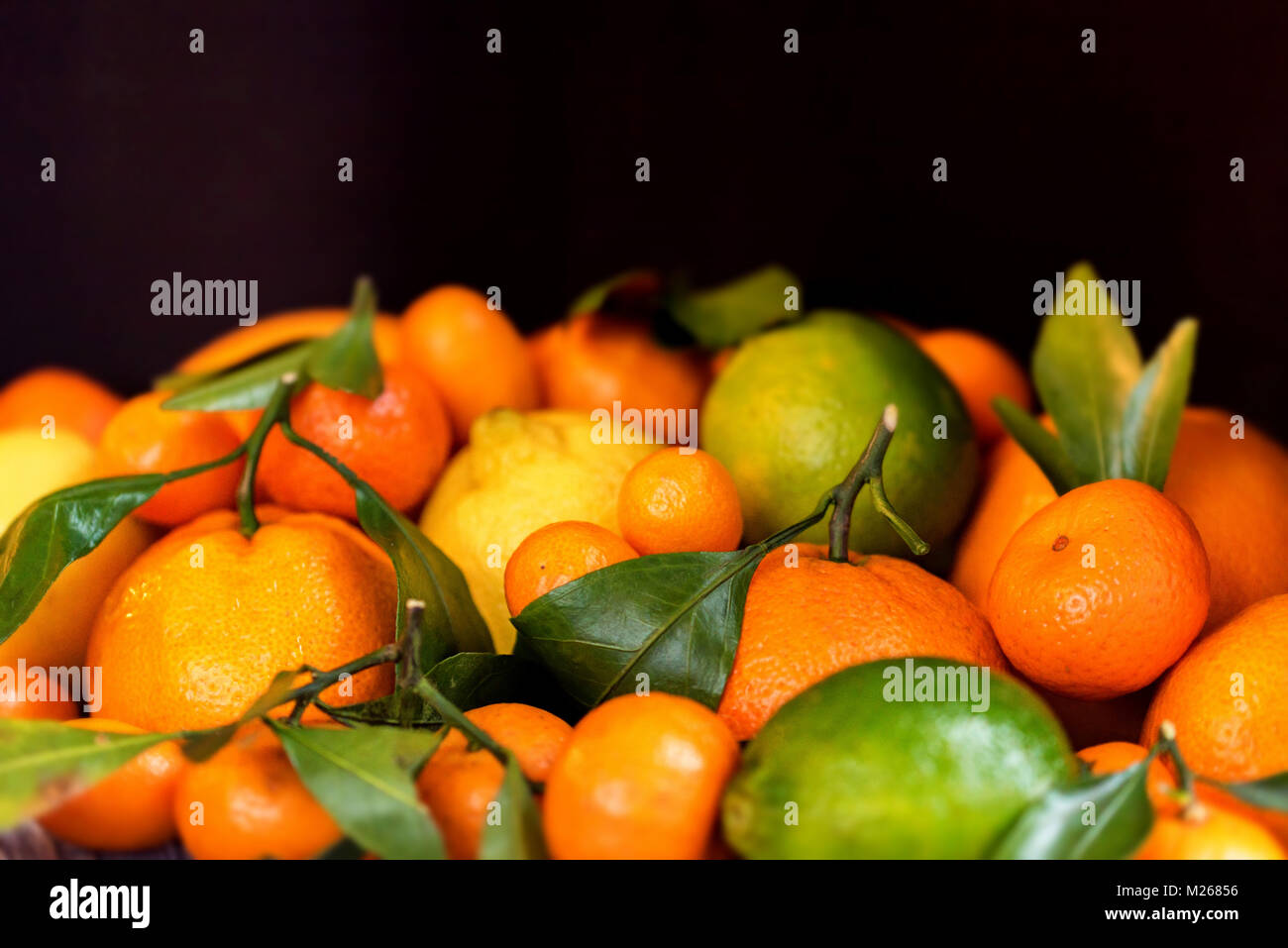 Close-up of various citrus fruits Stock Photo - Alamy