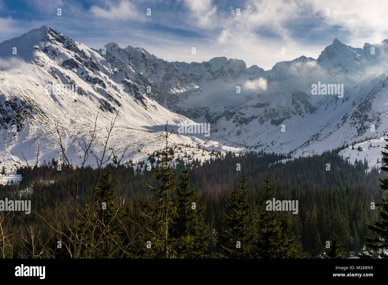 Winter landscape of the High Tatra Mountains Stock Photo - Alamy