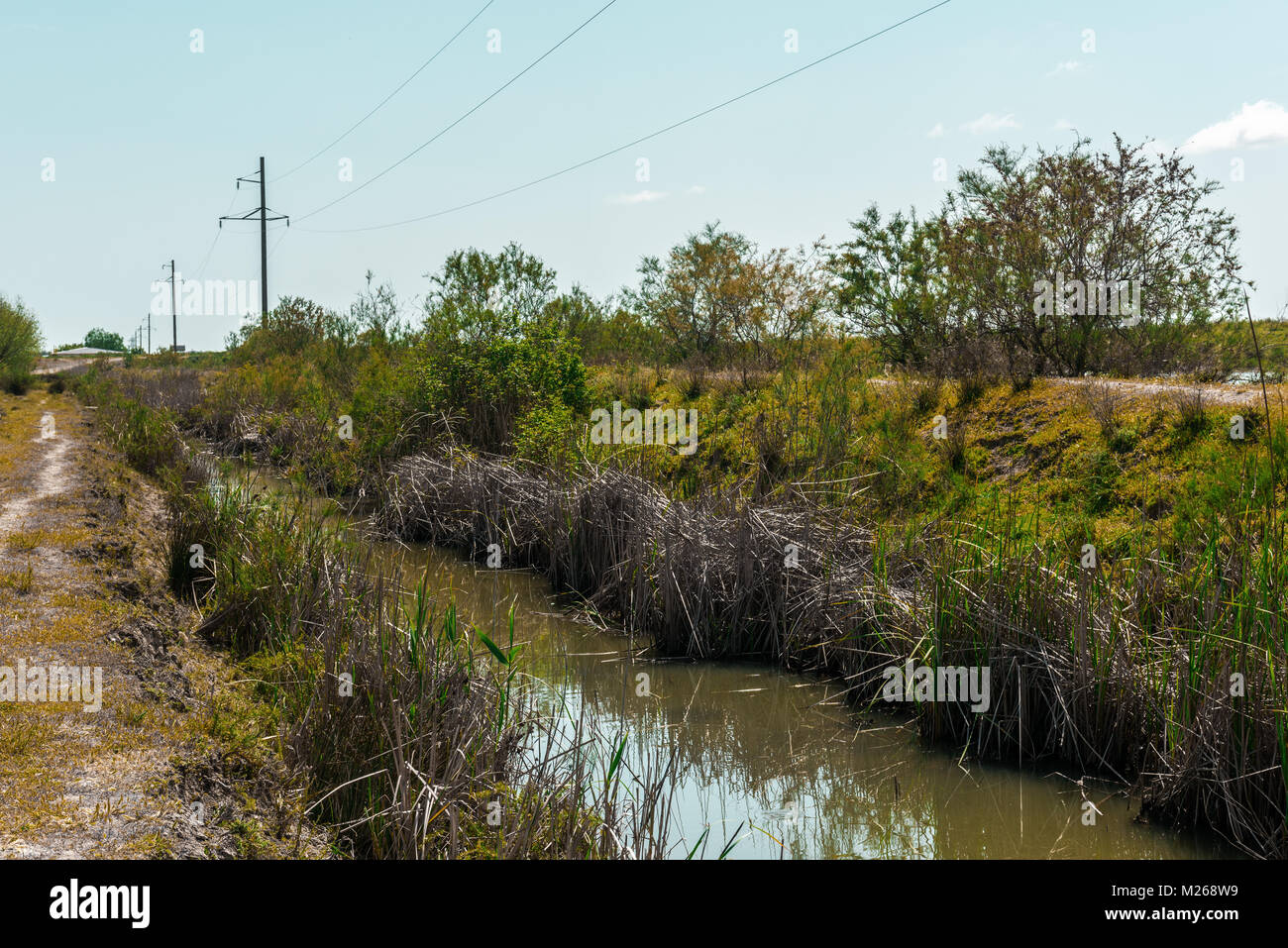 A small ditch with water for irrigation of farm fields Stock Photo - Alamy