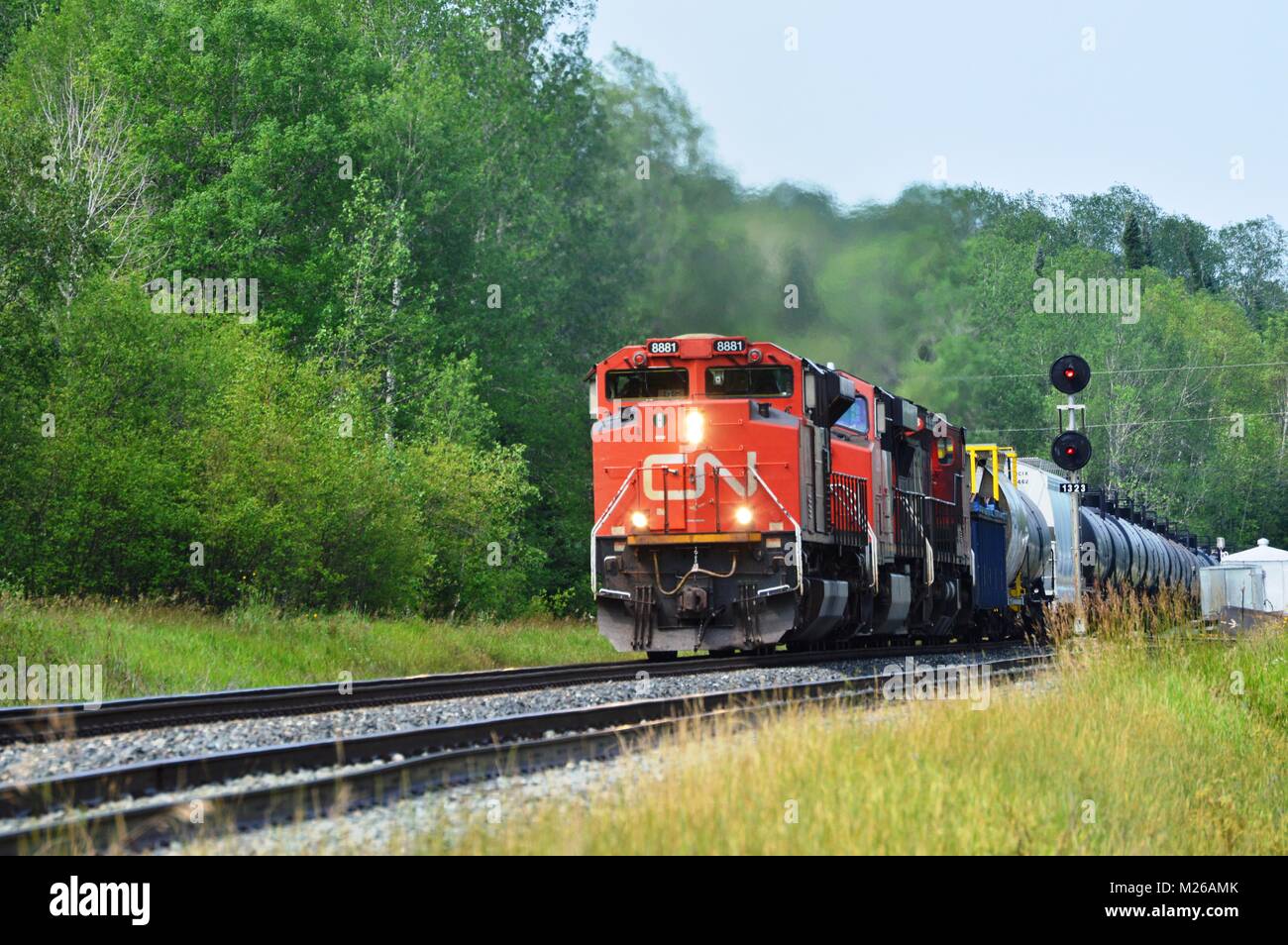 Fright train in Canadian Wilderness Stock Photo - Alamy