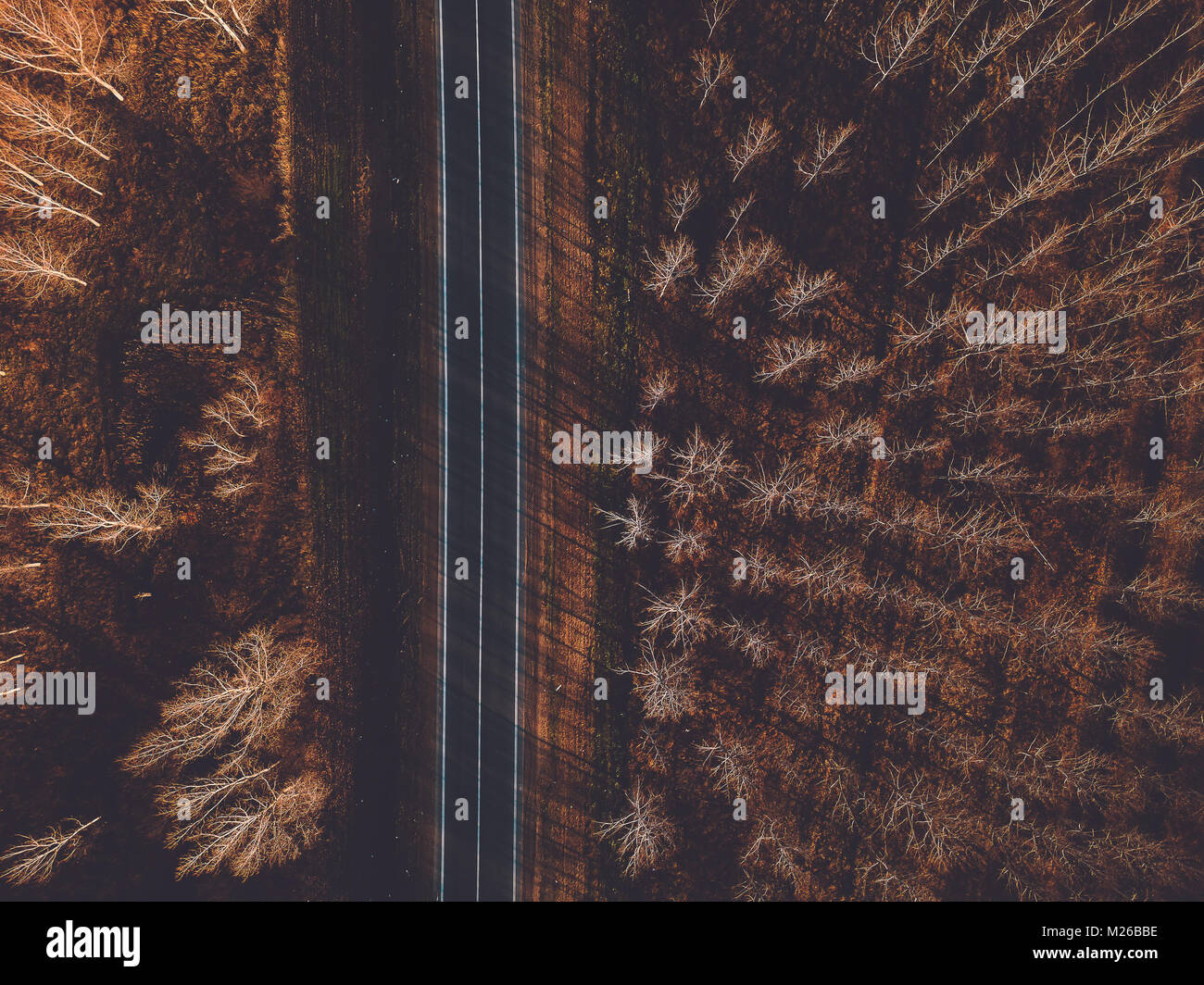 Aerial view of brand new asphalt road through deciduous autumn forest ...