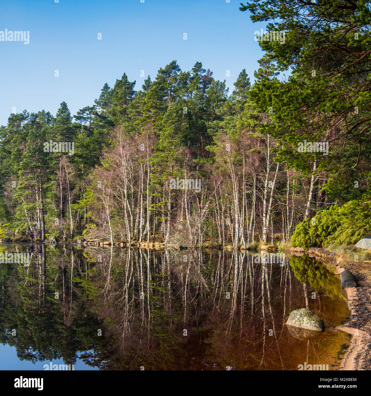 Abernethy Scotland High Resolution Stock Photography and Images - Alamy