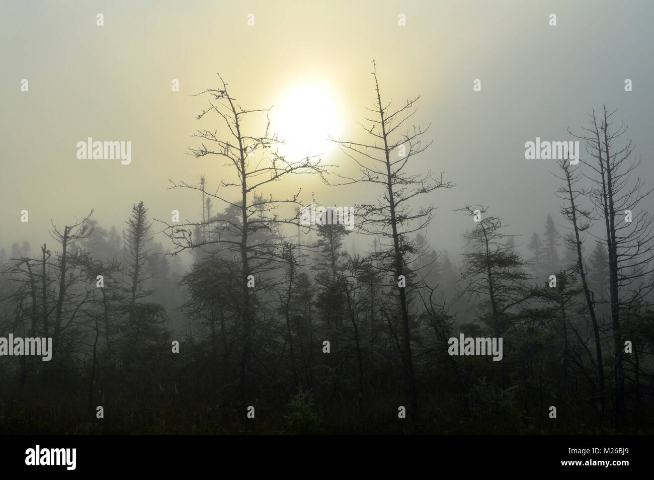 60th parallel hi-res stock photography and images - Alamy