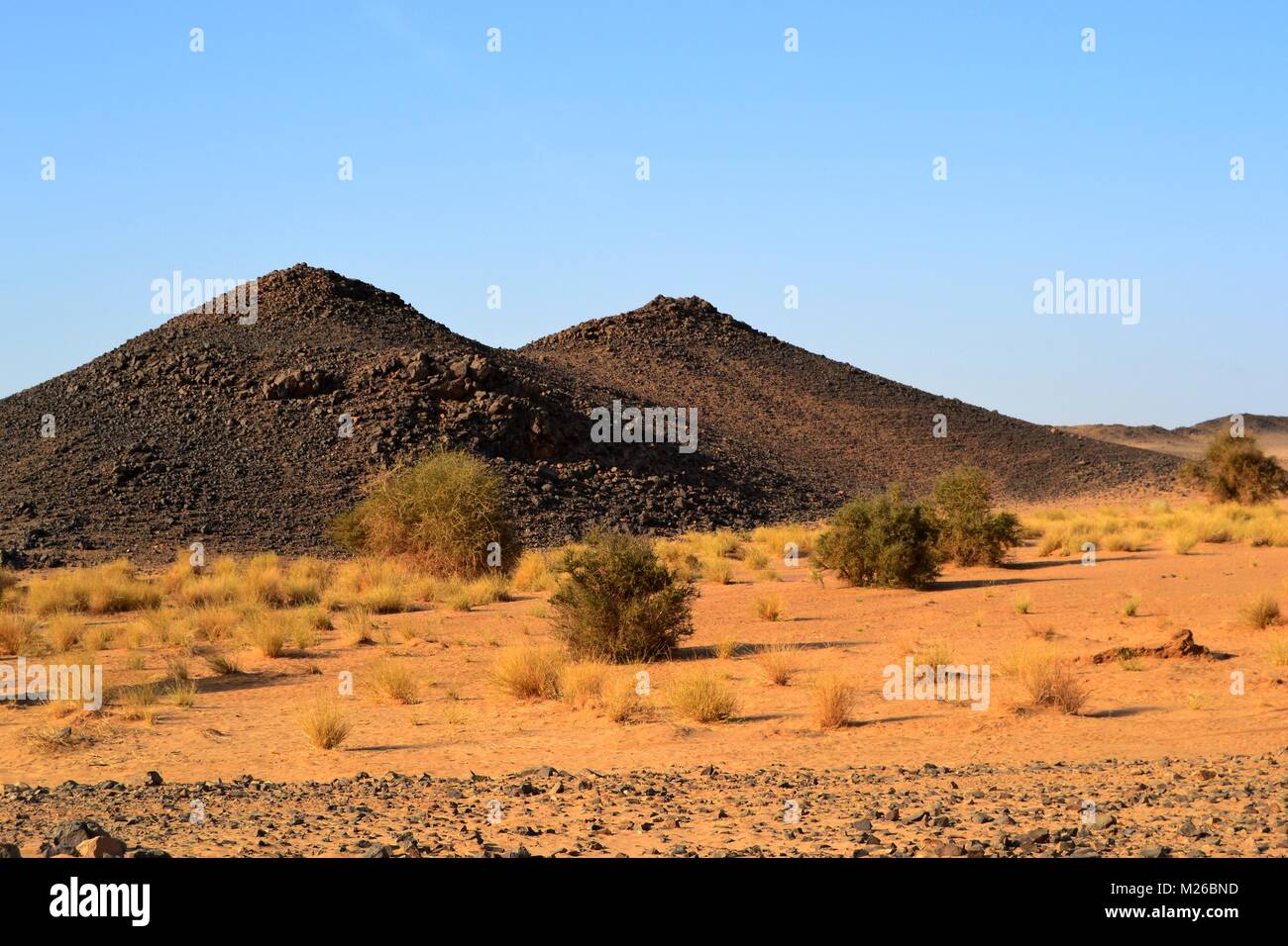 Nubian desert hi-res stock photography and images - Alamy