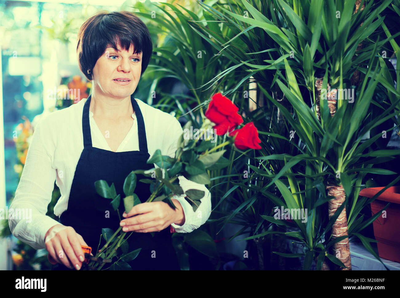 Glad shop assistant displaying bright red roses in flower shop Stock ...