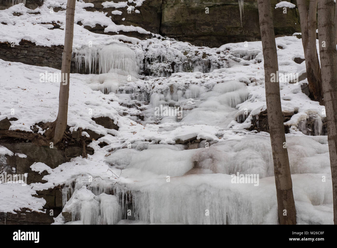 snow covered trail Stock Photo - Alamy