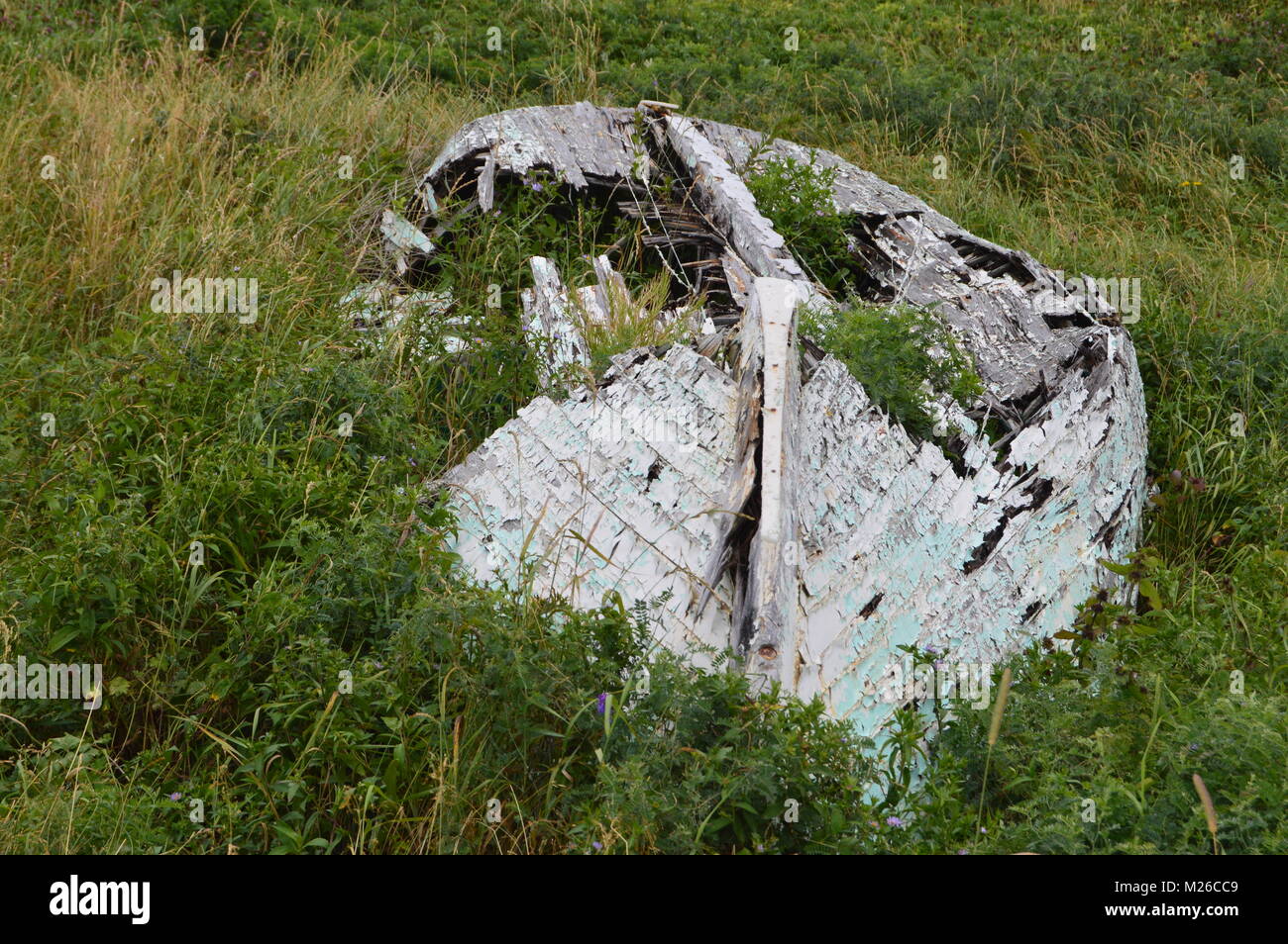 Rotten wooden rowing boat in meadow, New Foundland Stock Photo - Alamy