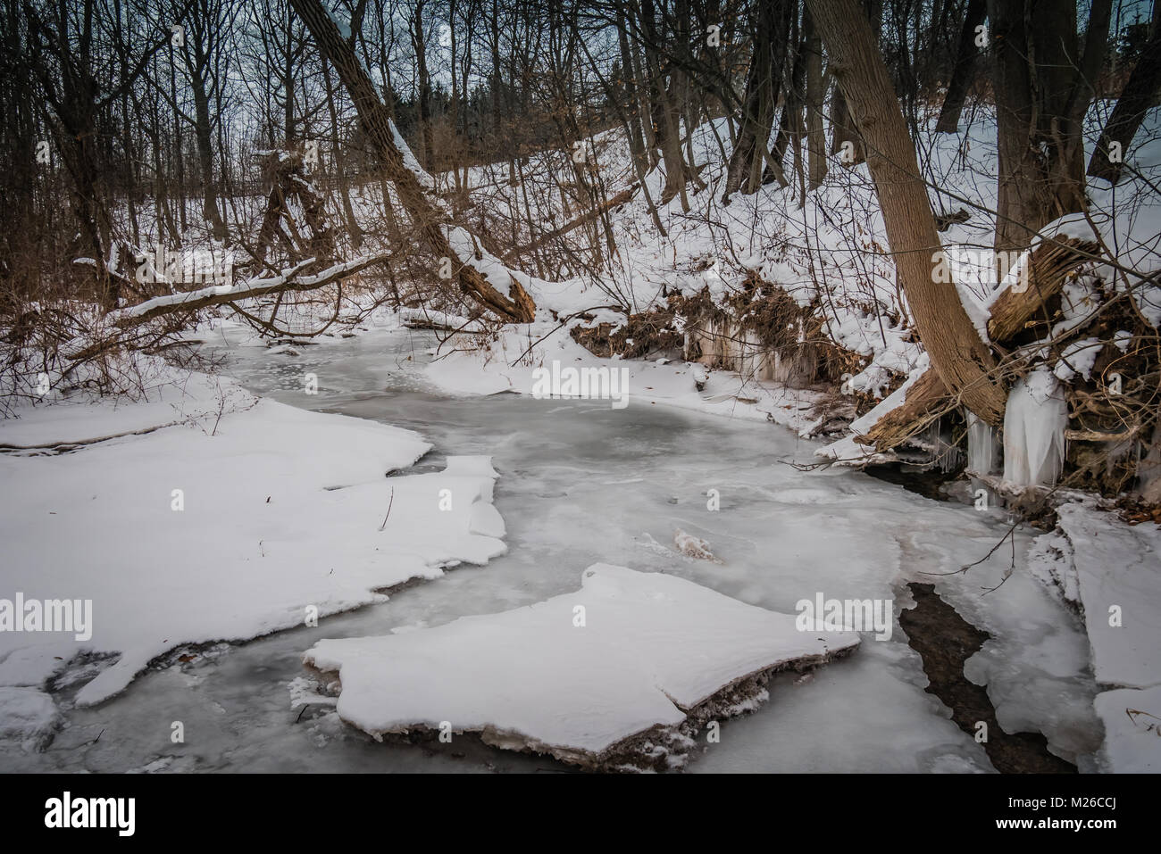 frozen river in a forest Stock Photo - Alamy