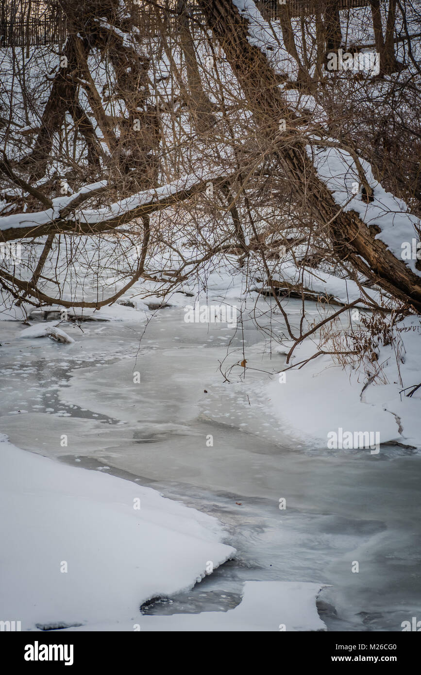 frozen river in a forest Stock Photo - Alamy