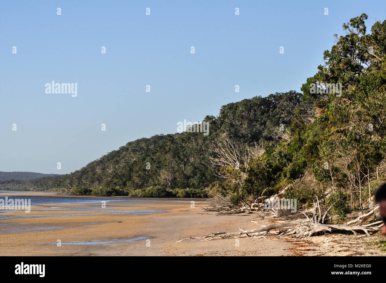Beach on Fraser Island, Queensland, Australia Stock Photo - Alamy