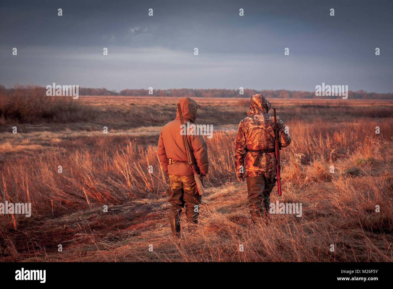 Hunters hunting in morning rural field. Field painted with orange color ...