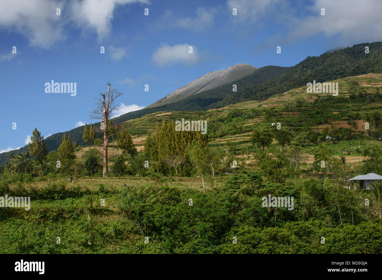 Canlaon hi-res stock photography and images - Alamy
