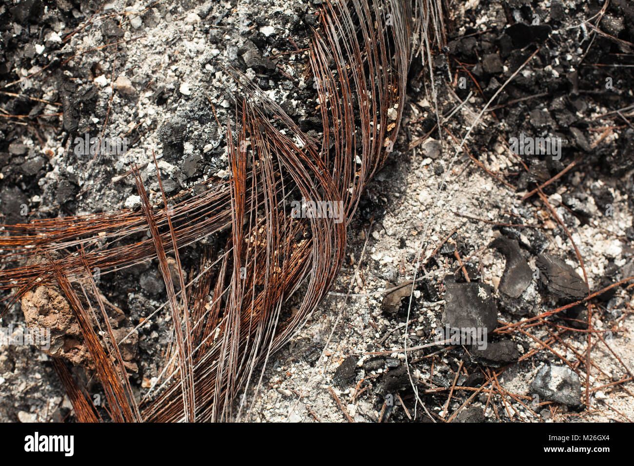 Burnt car texture hi-res stock photography and images - Alamy