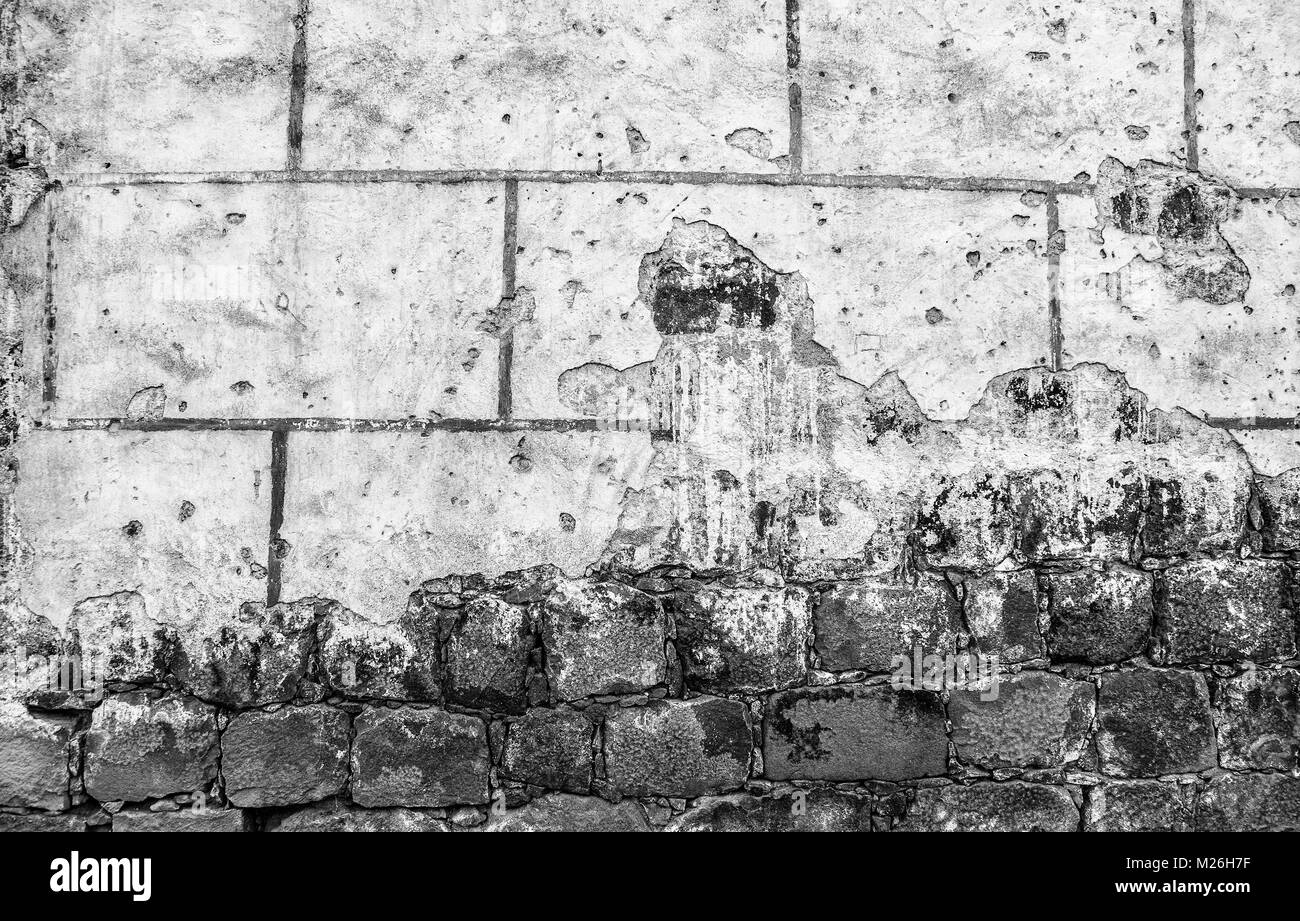 Misión Nuestra Señor San Ignacio de Kadakaamán, also at times called ...