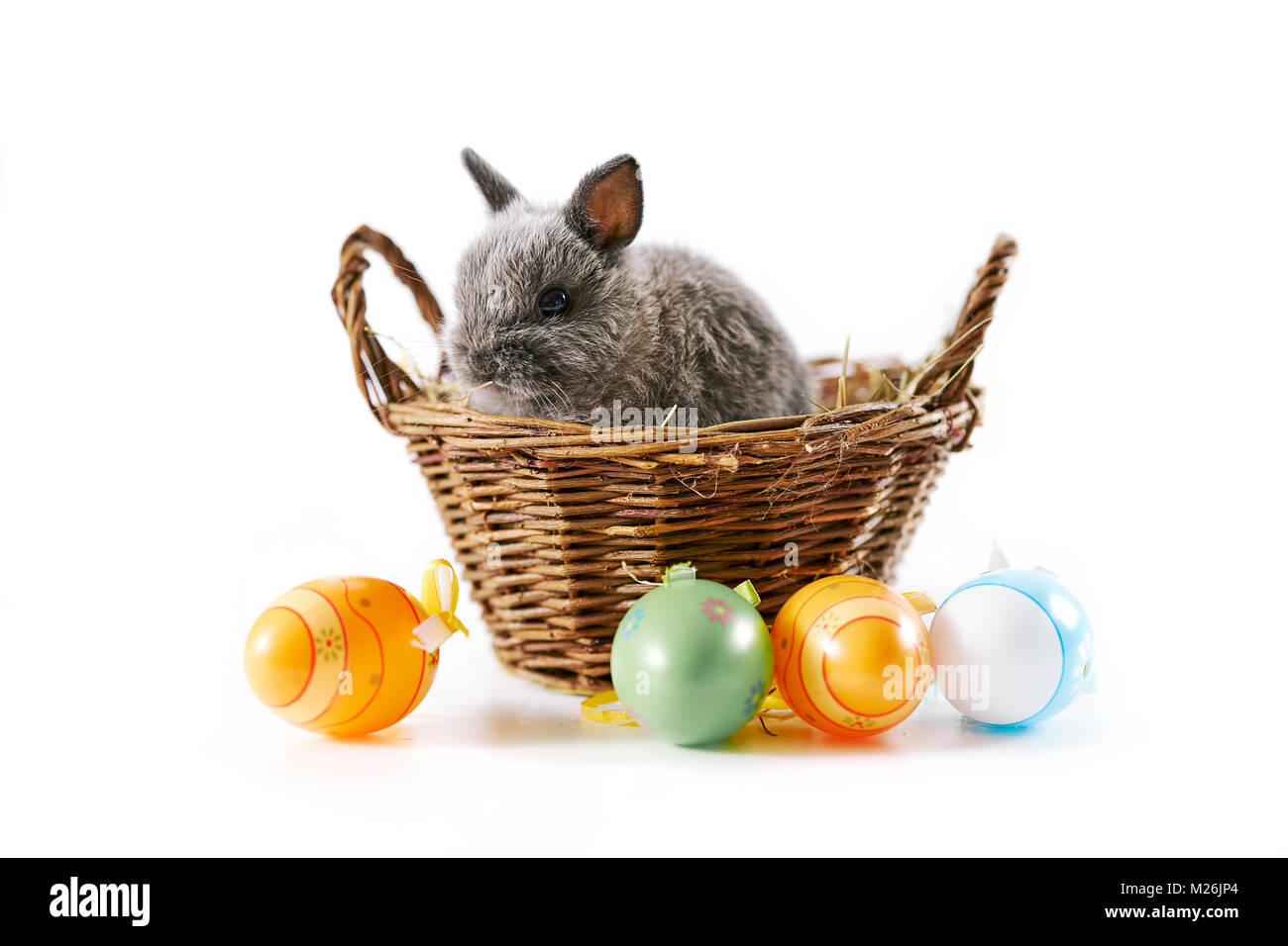 Rabbits cute little easter hi-res stock photography and images - Alamy