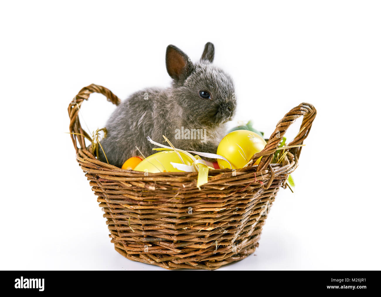Baby bunny hi-res stock photography and images - Alamy