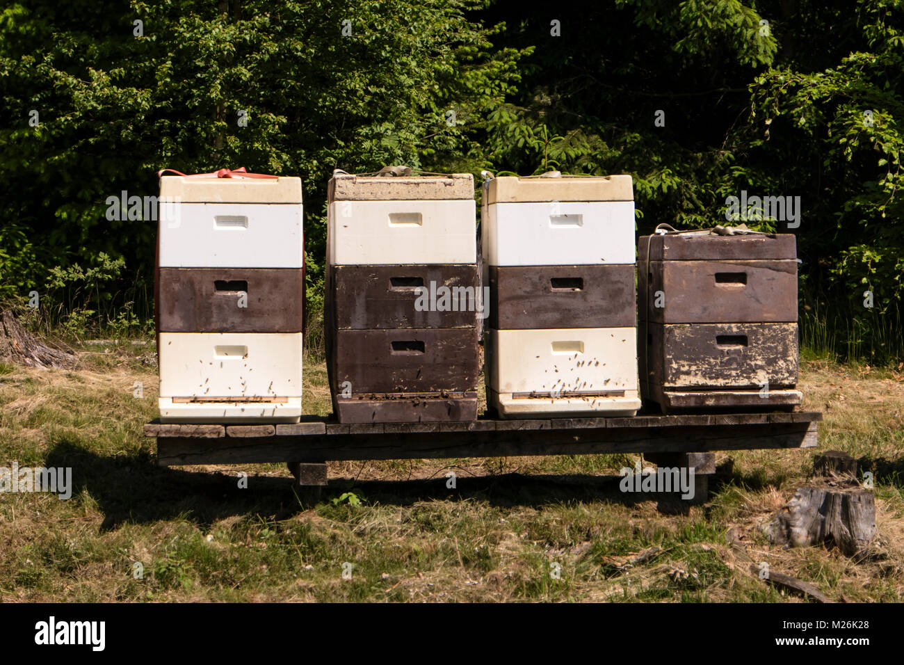 Beehives in Germany Stock Photo - Alamy