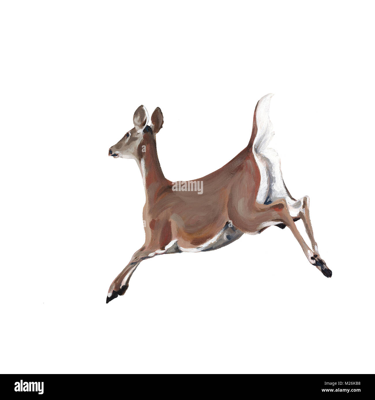 Red deer with fawn Cut Out Stock Images & Pictures - Alamy