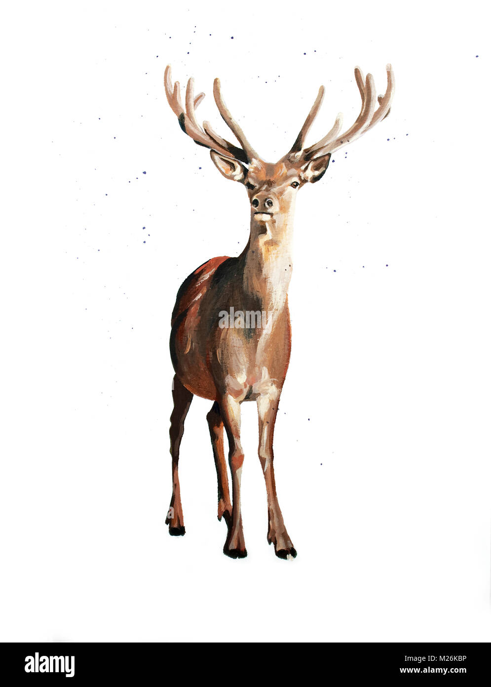 painting of a young sika stag Stock Photo - Alamy