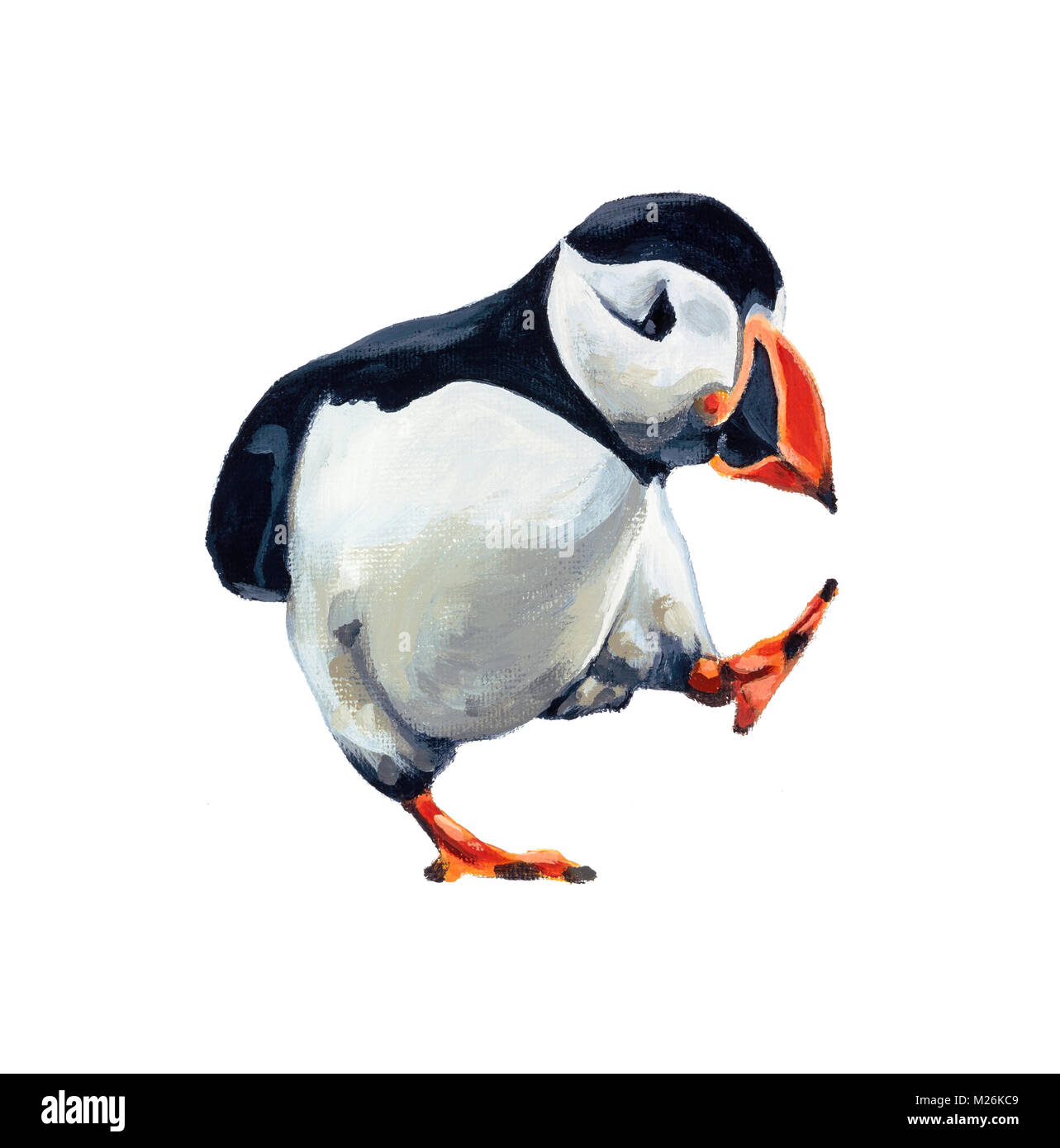 Puffin art hi-res stock photography and images - Alamy