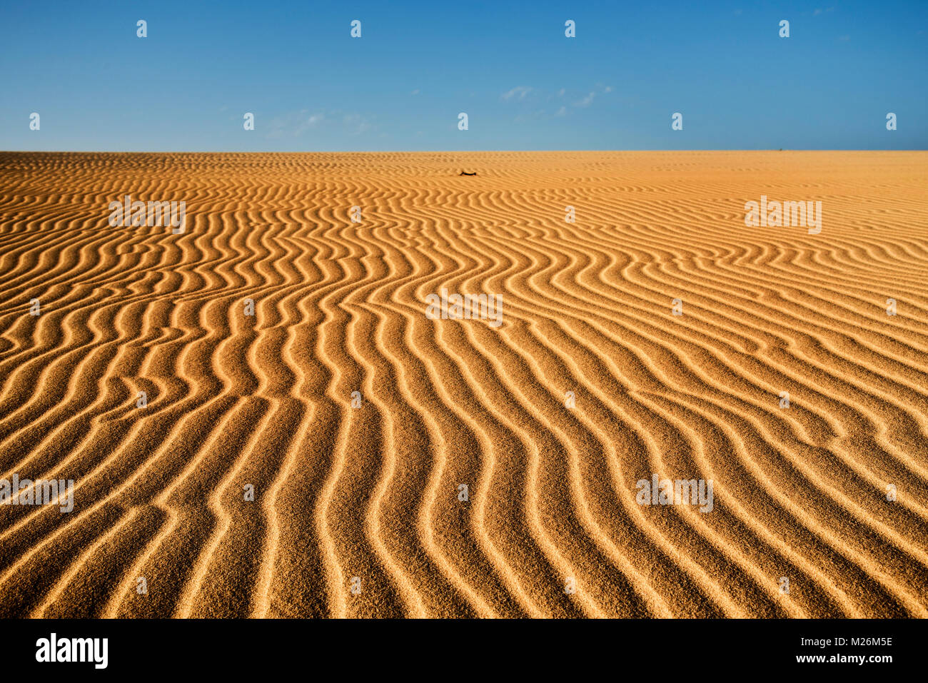 a view of the wind ripples on the sand dunes of Corralejo ...