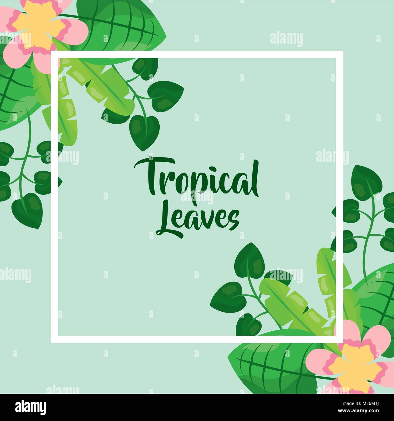 tropical leaves poster floral flower exotic foliage Stock Vector Image ...