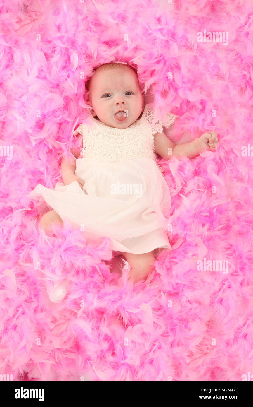 11 week old hi-res stock photography and images - Alamy