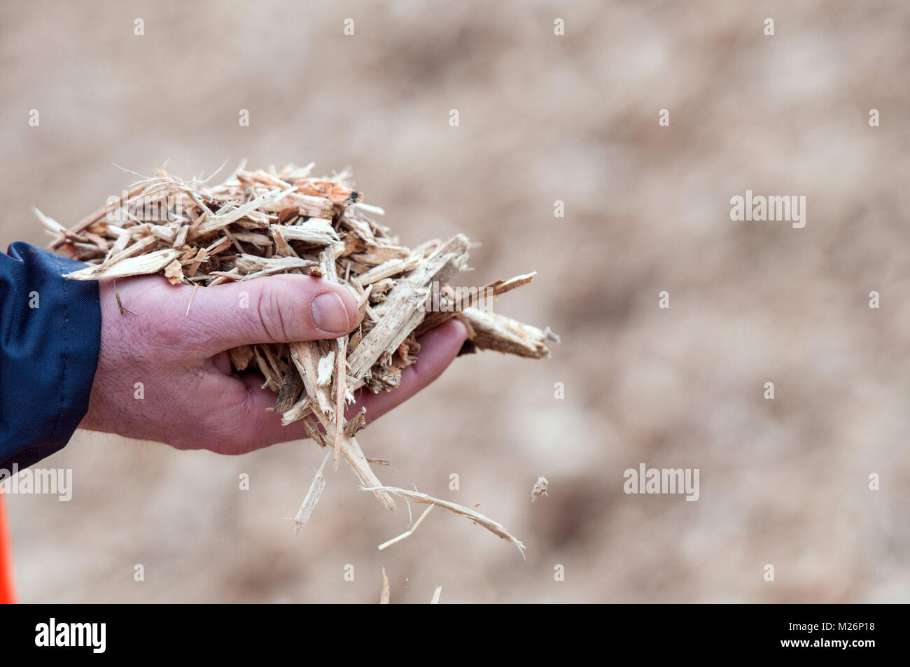 Holding sorting board or panel hi-res stock photography and images - Alamy