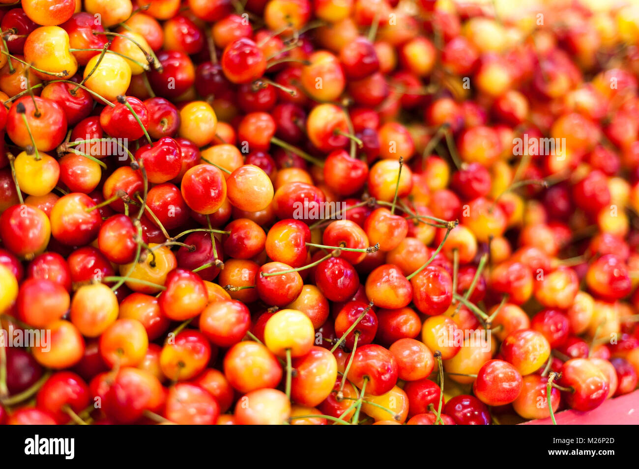 Cherry napoleon bigarreau hi-res stock photography and images - Alamy