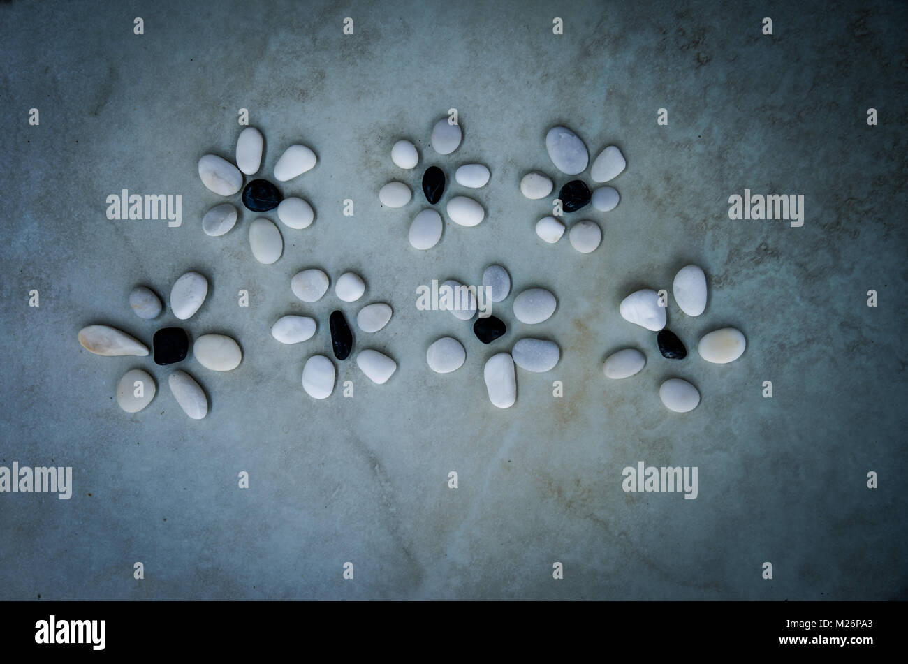 Butterfly line art flower hi-res stock photography and images - Alamy