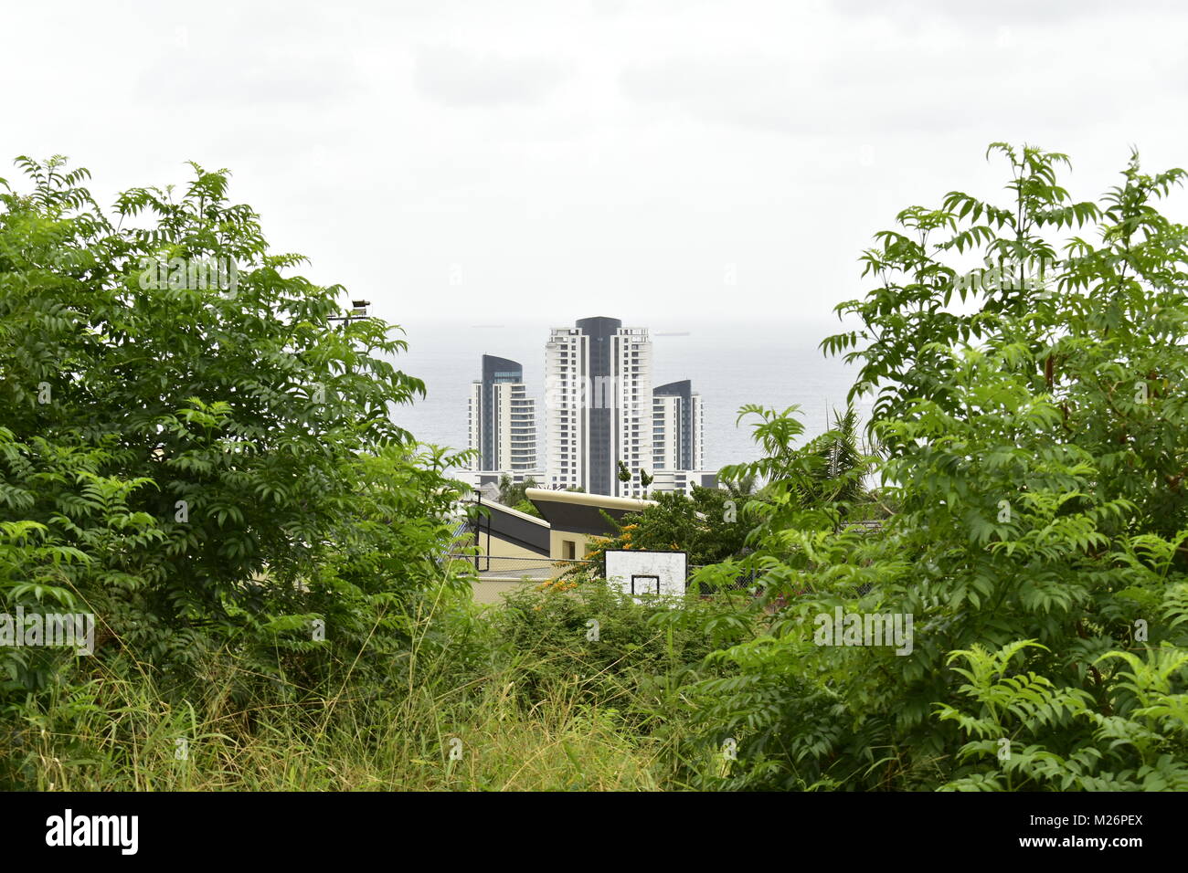 The Bush, The City And The Sea Stock Photo - Alamy