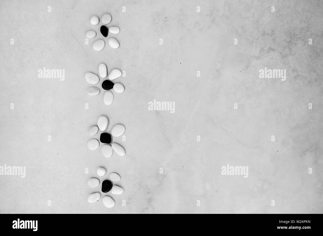line of white black flowers made from small pebbles Stock Photo - Alamy