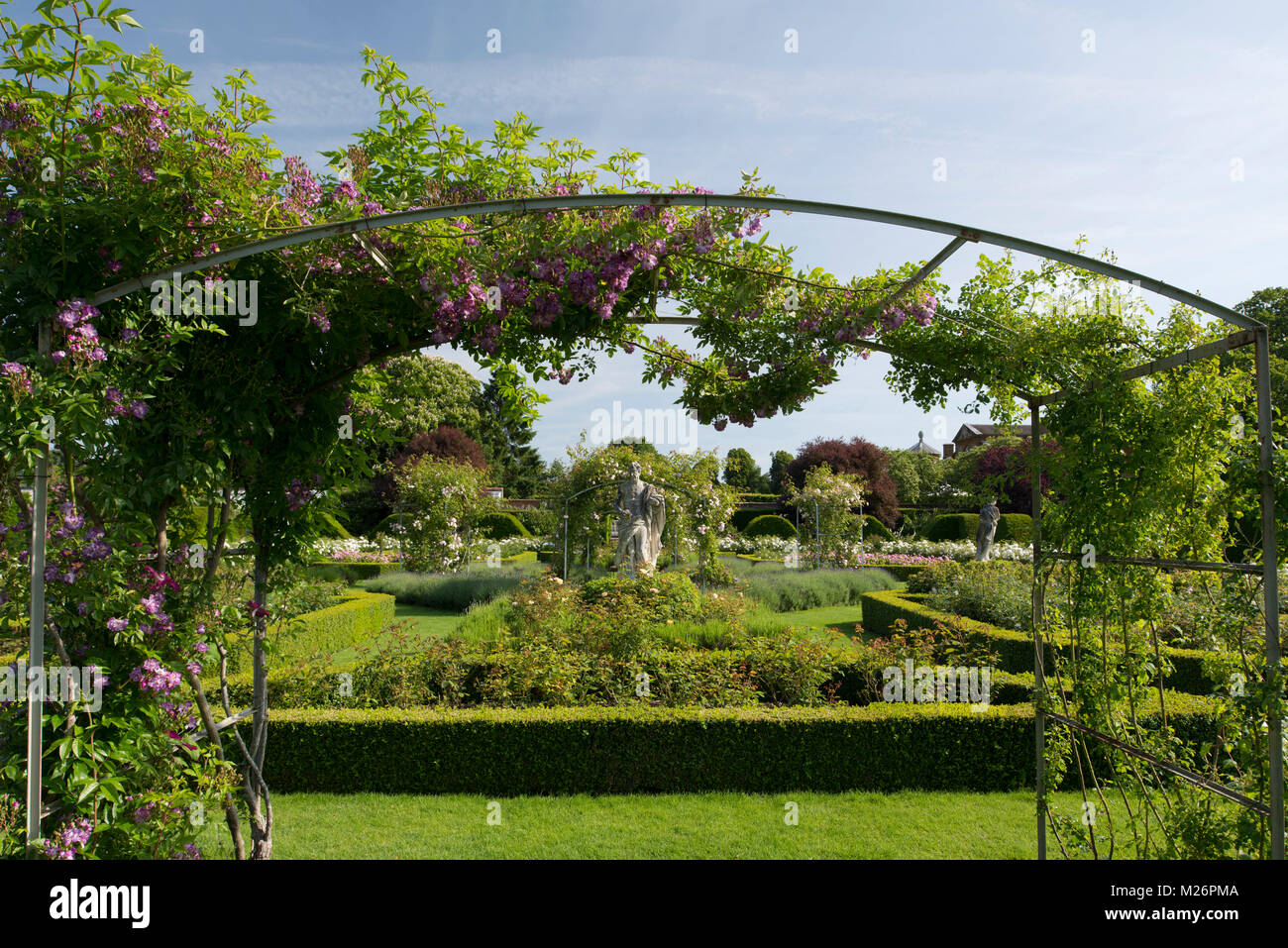 Parterre rosa hi-res stock photography and images - Alamy