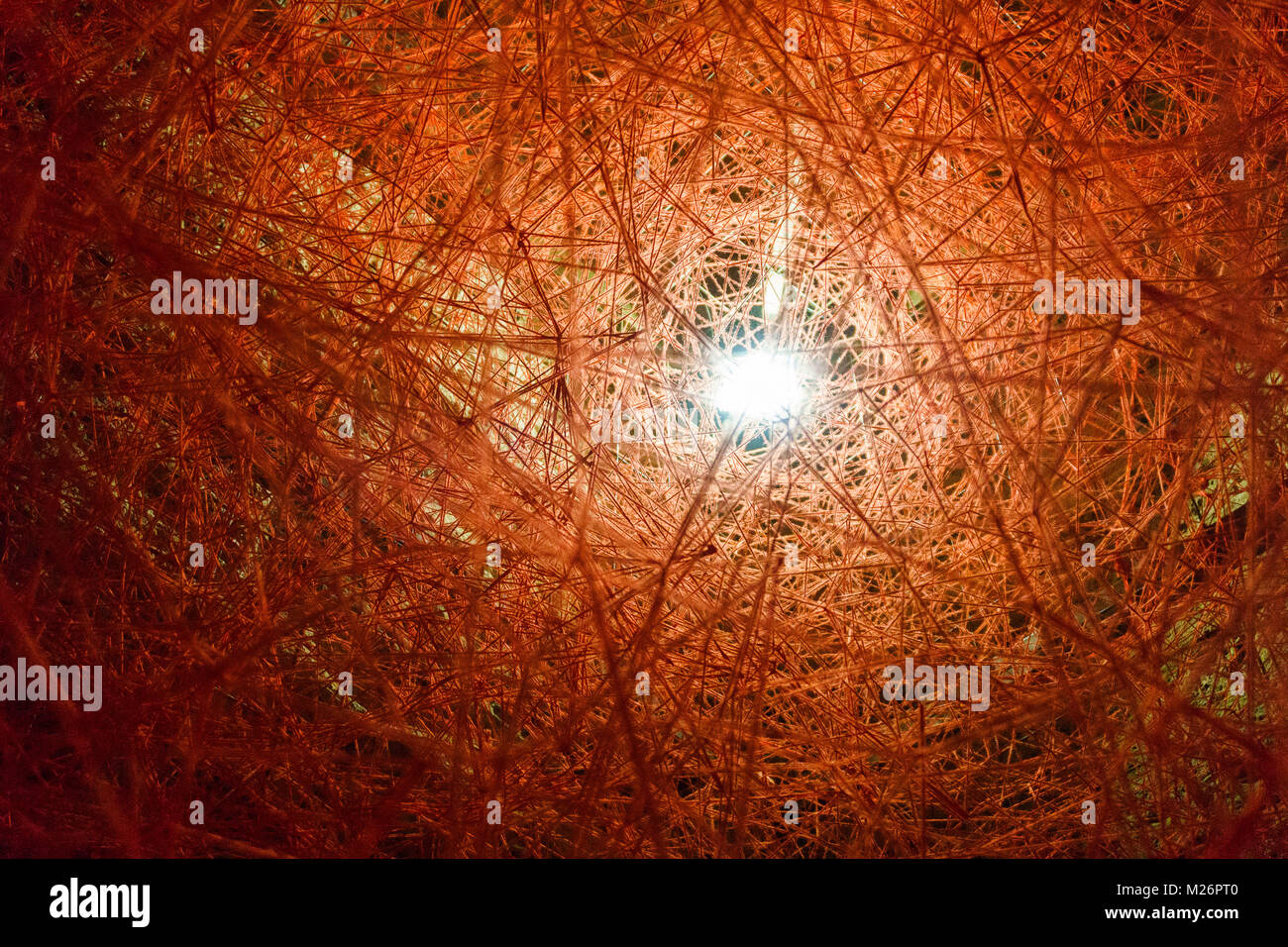 Picture of abstraction from orange threads Stock Photo - Alamy