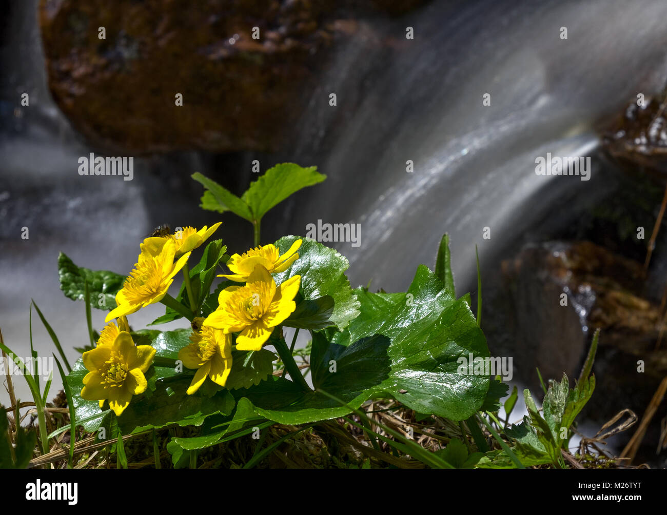 Against the flow hi-res stock photography and images - Alamy