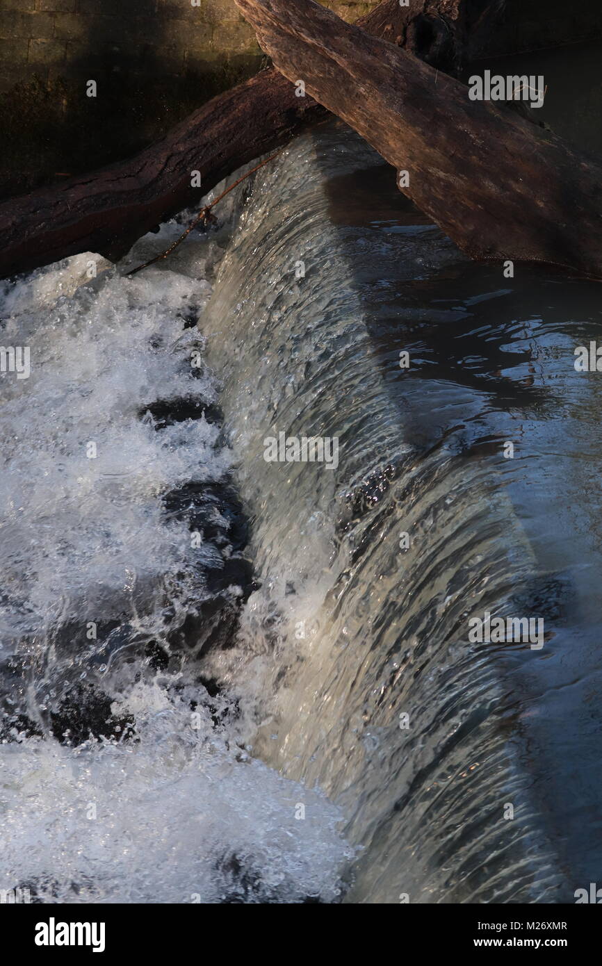 Coombe abbey park hi-res stock photography and images - Alamy