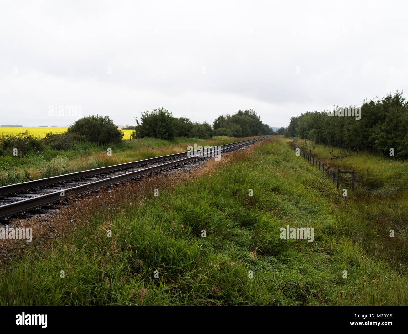 Alberta prairie railway hi-res stock photography and images - Alamy