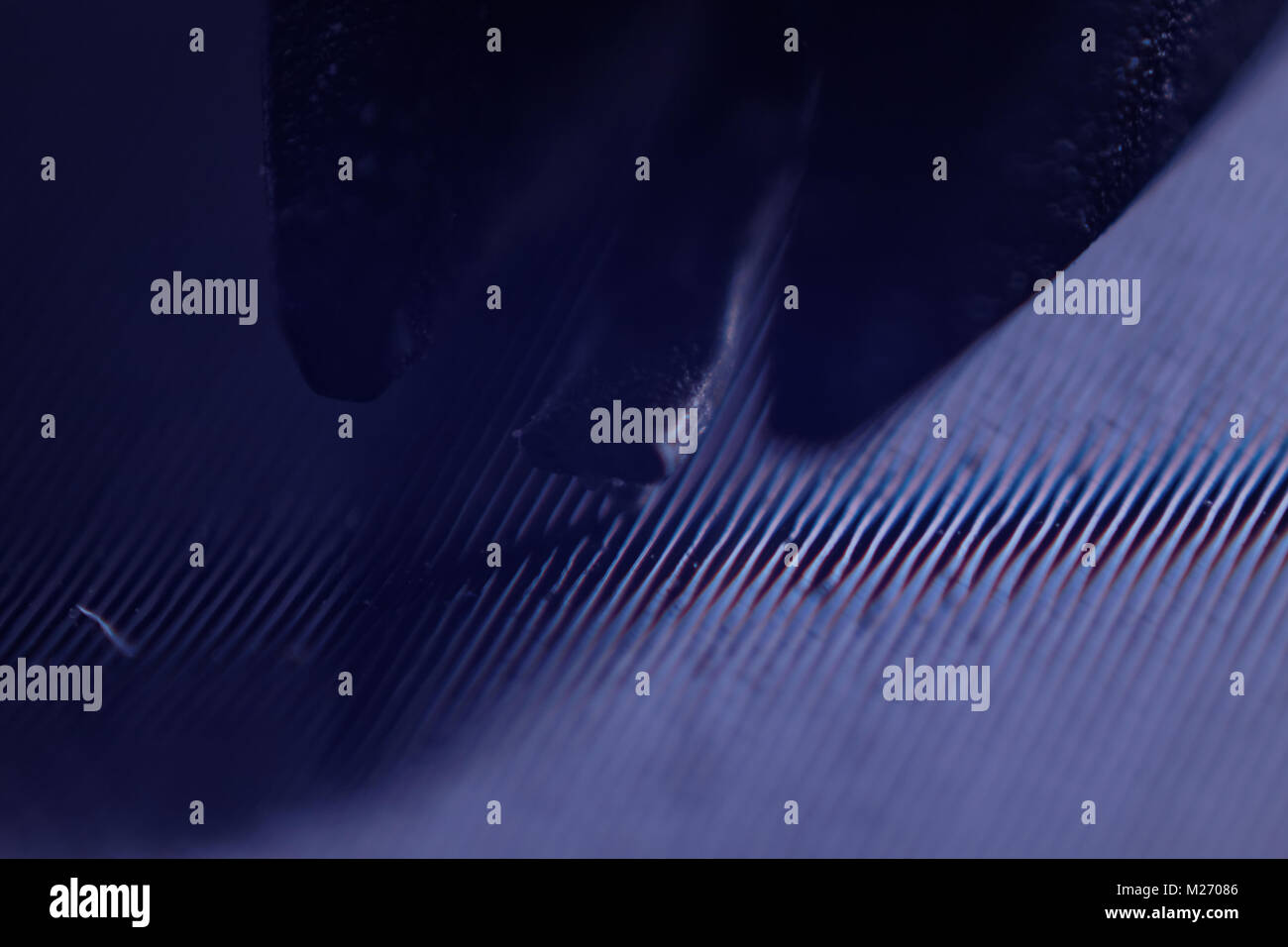 vinyl record player needle Stock Photo - Alamy