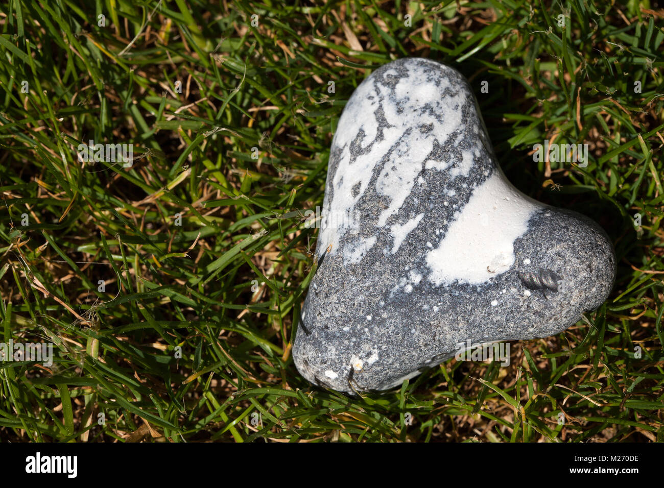 Flintstone texture hi-res stock photography and images - Alamy