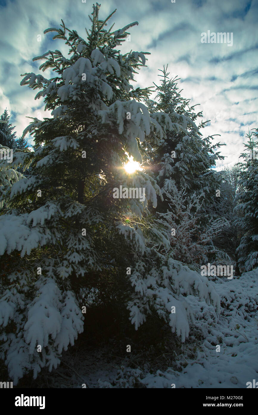 Winterland hi-res stock photography and images - Alamy