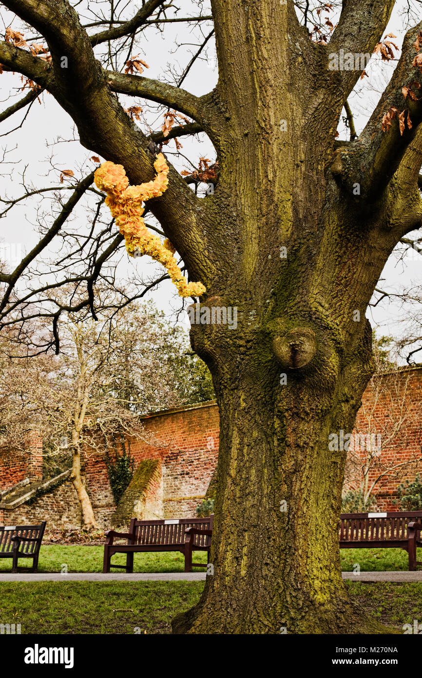 Tree art installation of hi-res stock photography and images - Alamy