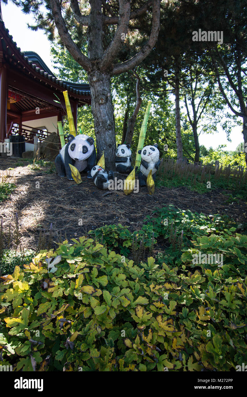 Botanical gardens Montreal panda pandas tree trees canopy type style ...