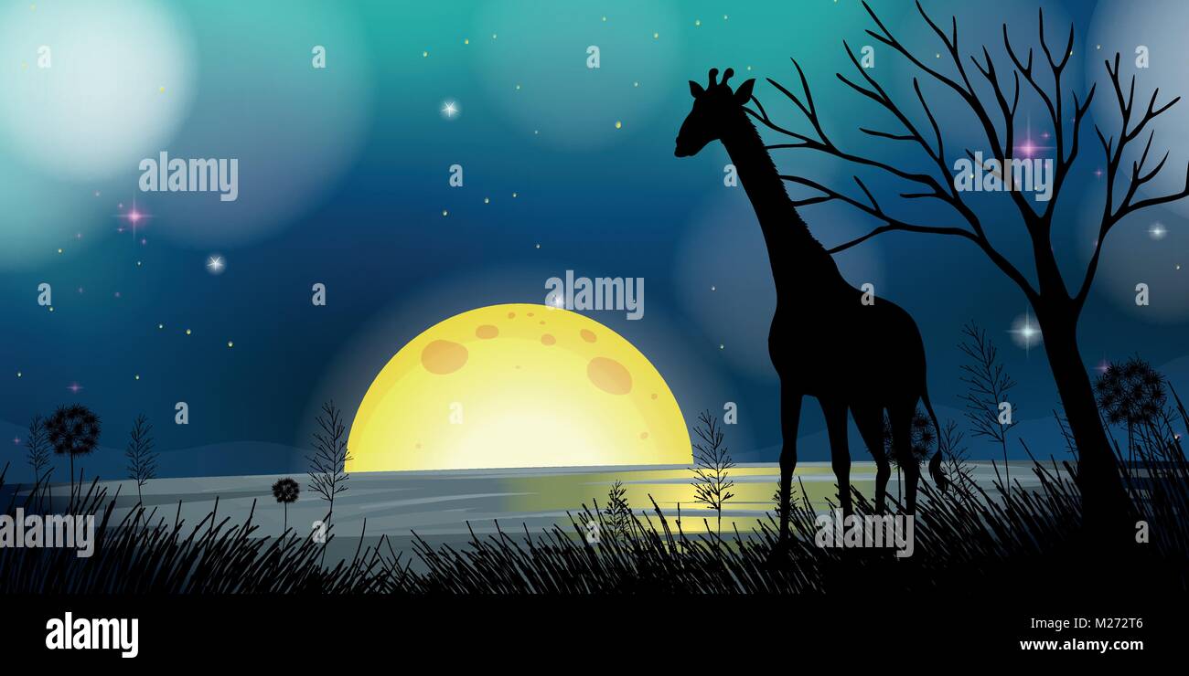 Background scene with silhouette giraffe at night illustration Stock ...