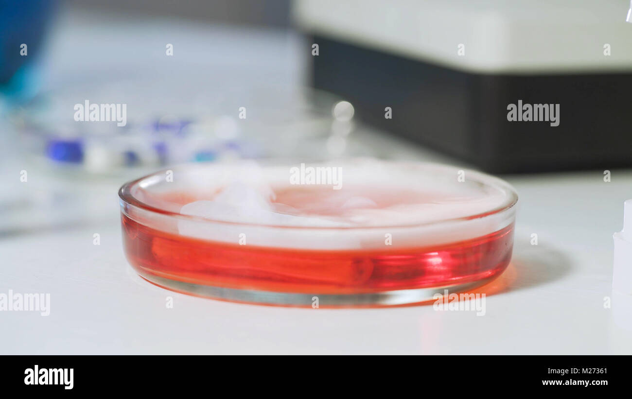 Demonstration of biochemical reaction, laboratory test, chemical ...